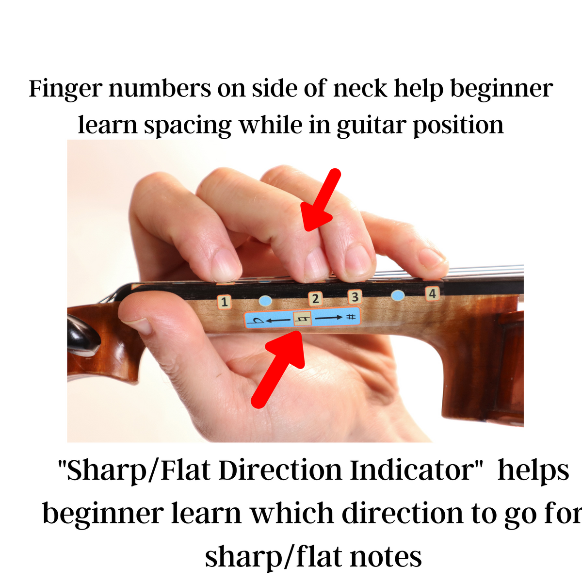 The Perfect Viola Finger Guide - Fantastic Finger Guides