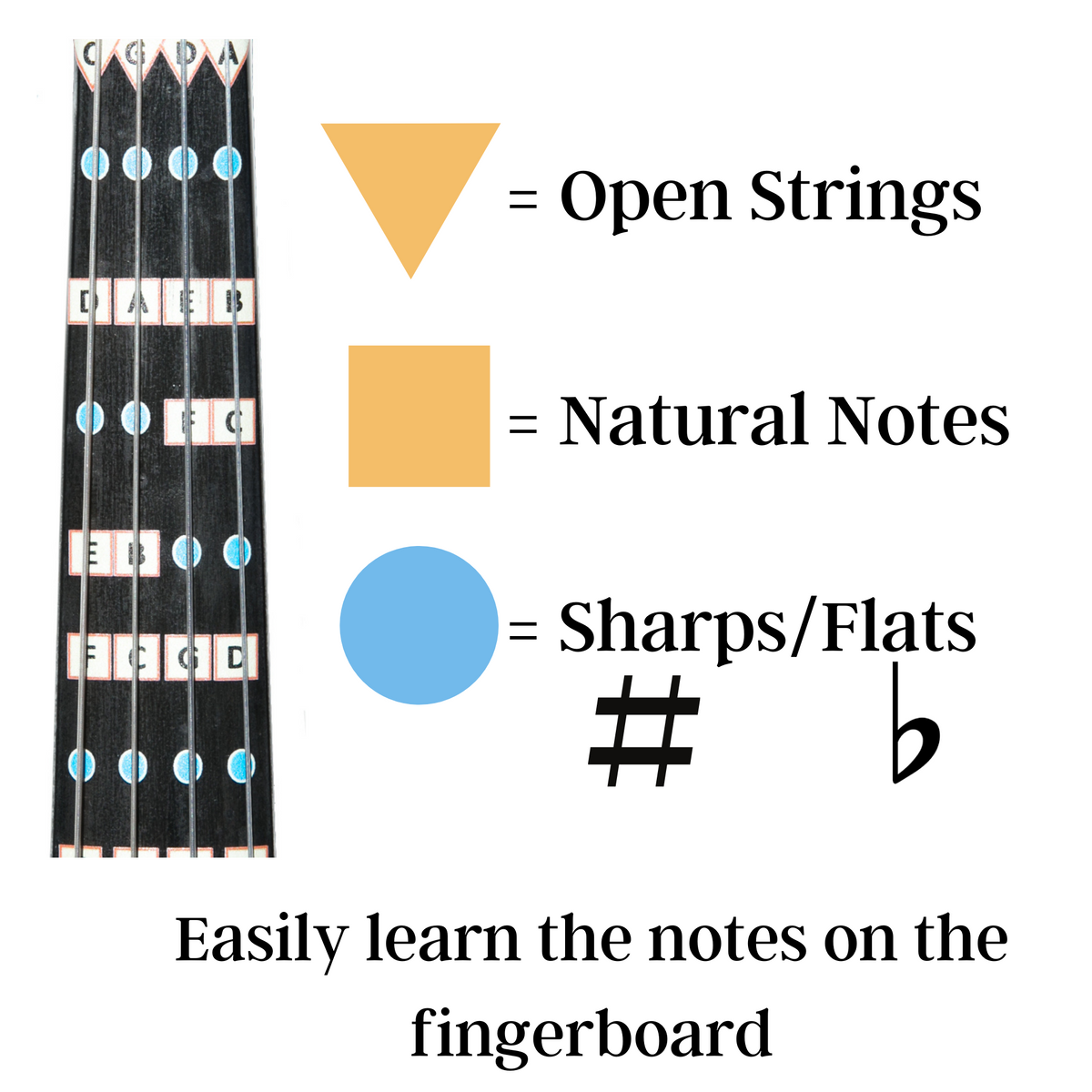 The Perfect Viola Finger Guide - Fantastic Finger Guides
