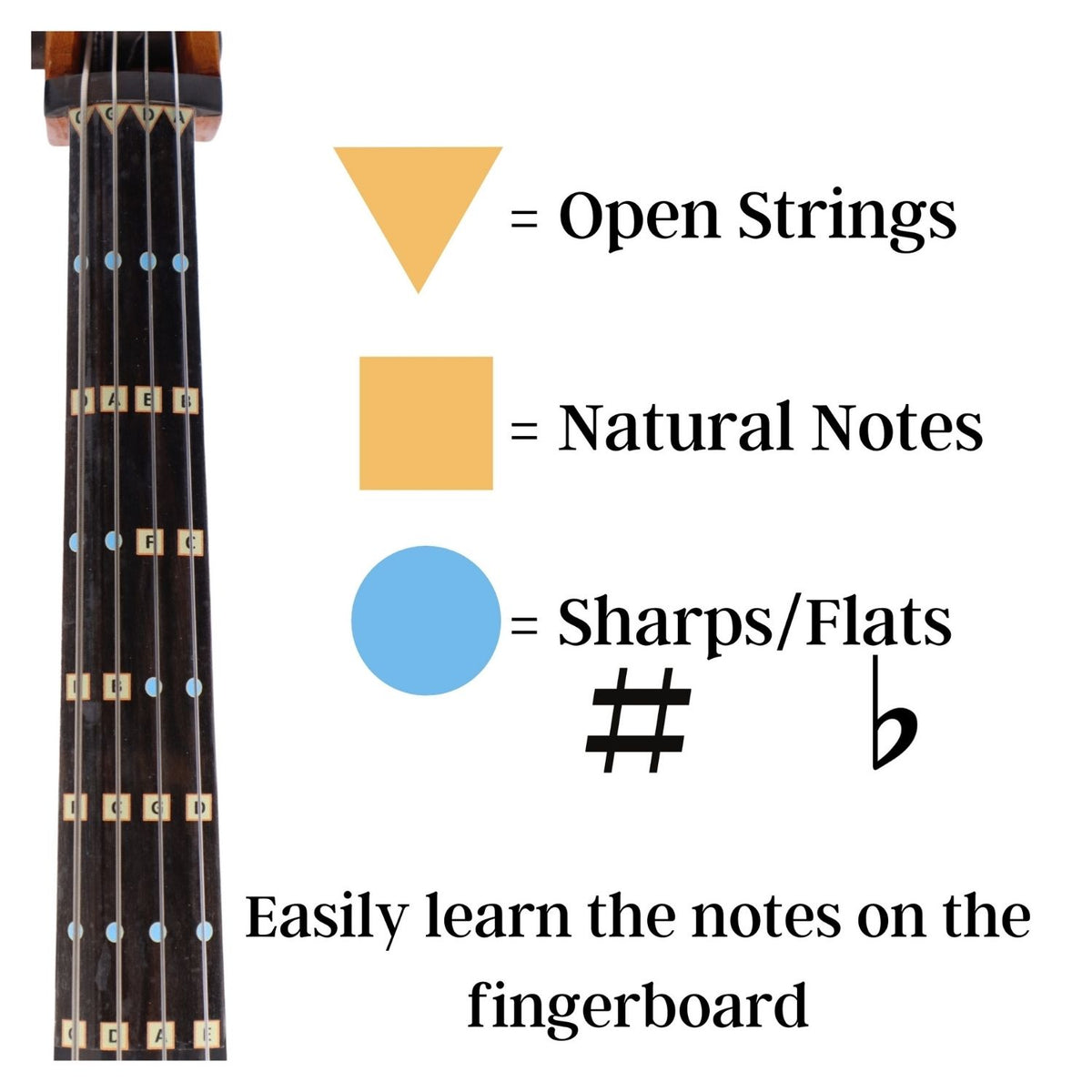 Weston's Fantastic Finger Guides For Cello