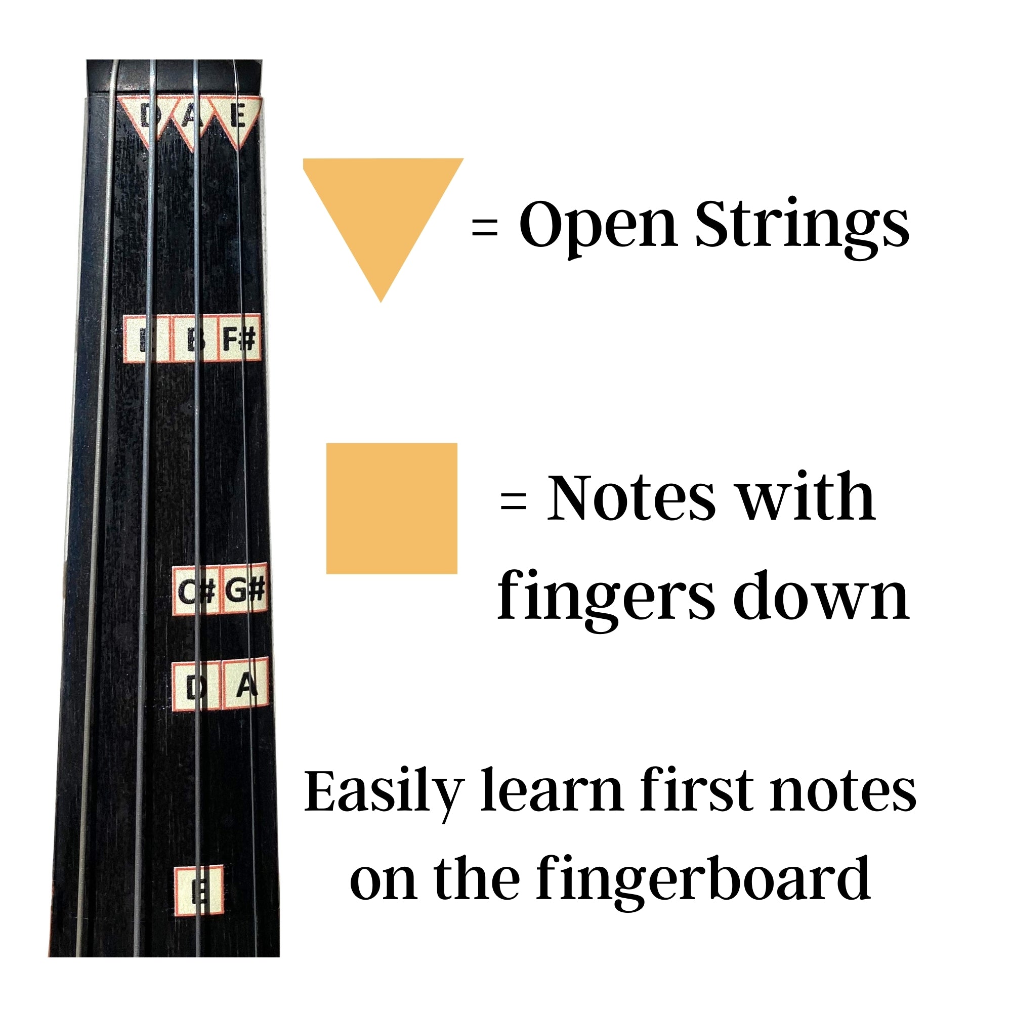 Best A Major Finger Guide – Fantastic Finger Guides